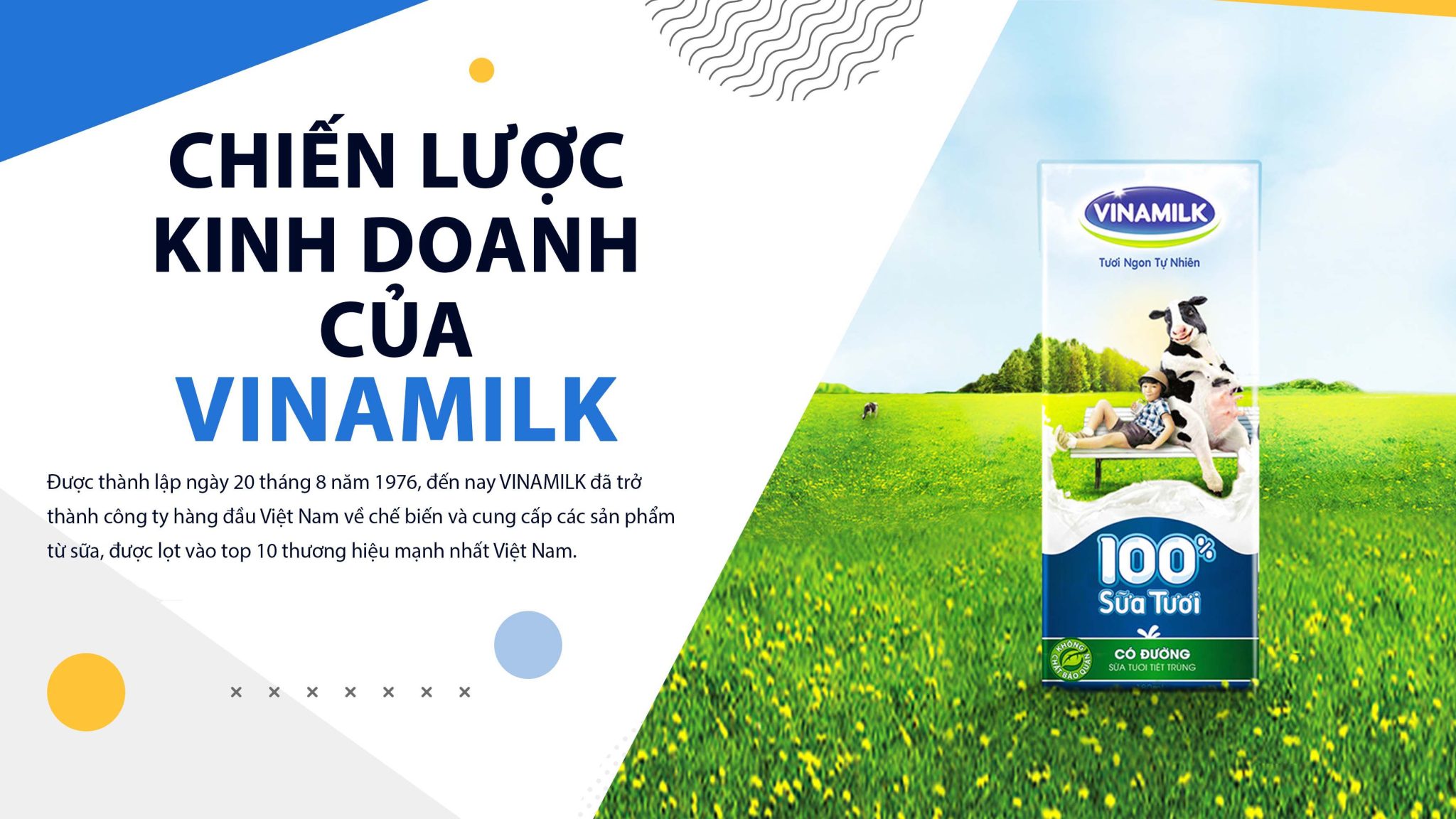 Phân tích chiến lược kinh doanh của Vinamilk ️【Chi Tiết】